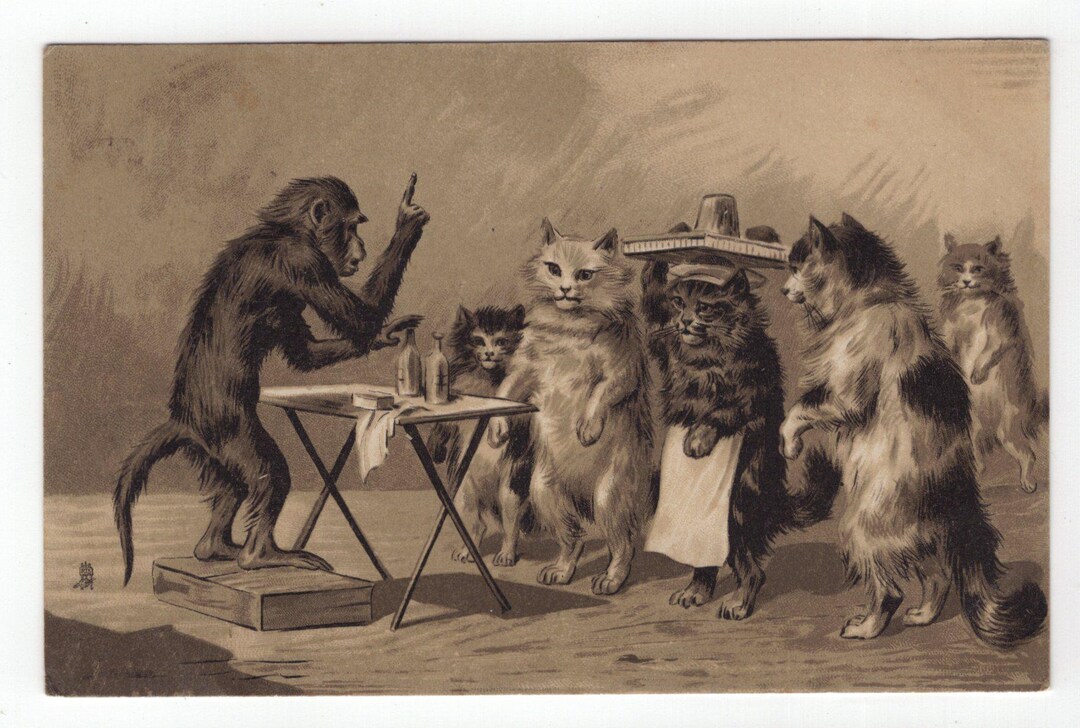 Original Monkey Barman Selling Drinks to Cats Artist Illustrated ...