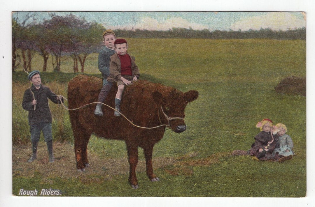 Original 1900s Little Boys Riding a Cow Antique Postcard - Vintage ...