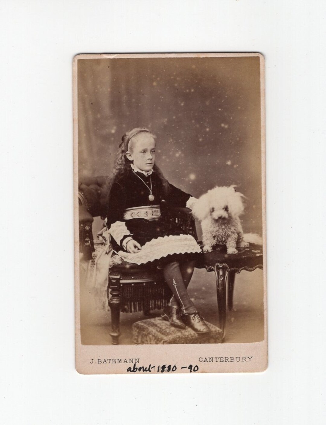 Original 1880s Little Girl & Maltese Dog CDV Photo - Carte De Visite ...