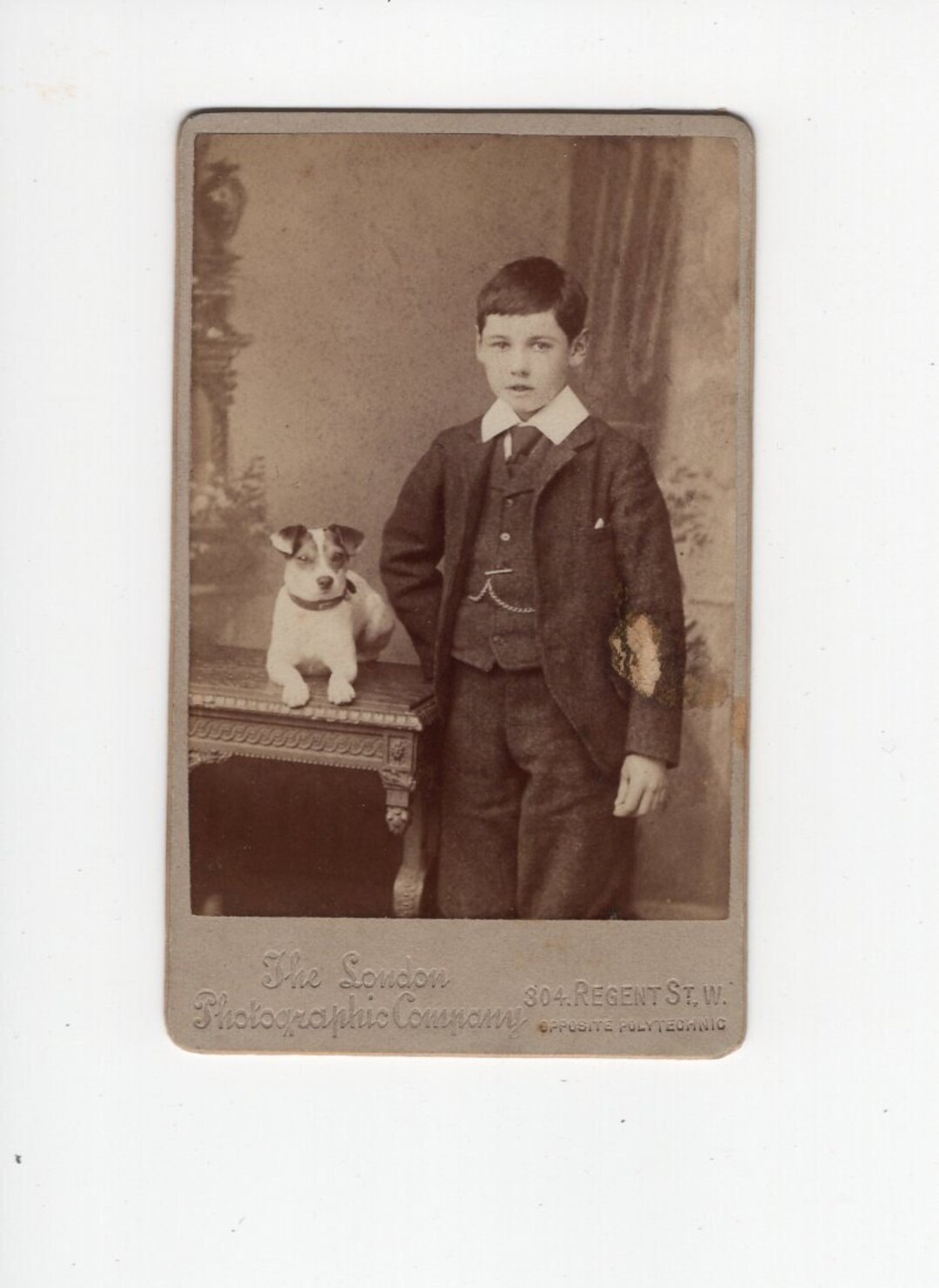 Original 1880s Jack Russell Terrier & Little Boy CDV Photo - Carte De ...