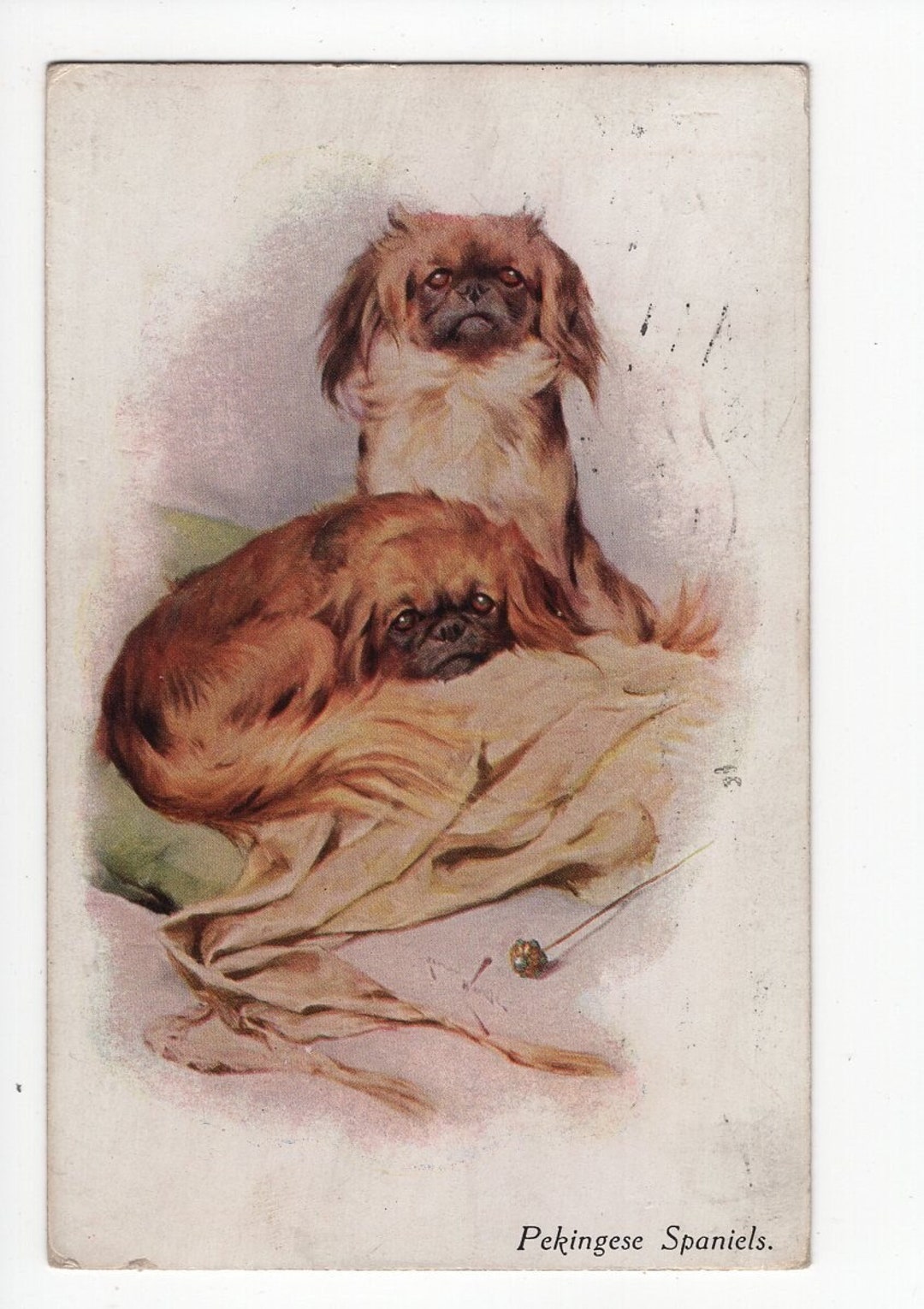 Original 1900s Pekingese Artist Signed Illustrated Postcard - Antique ...