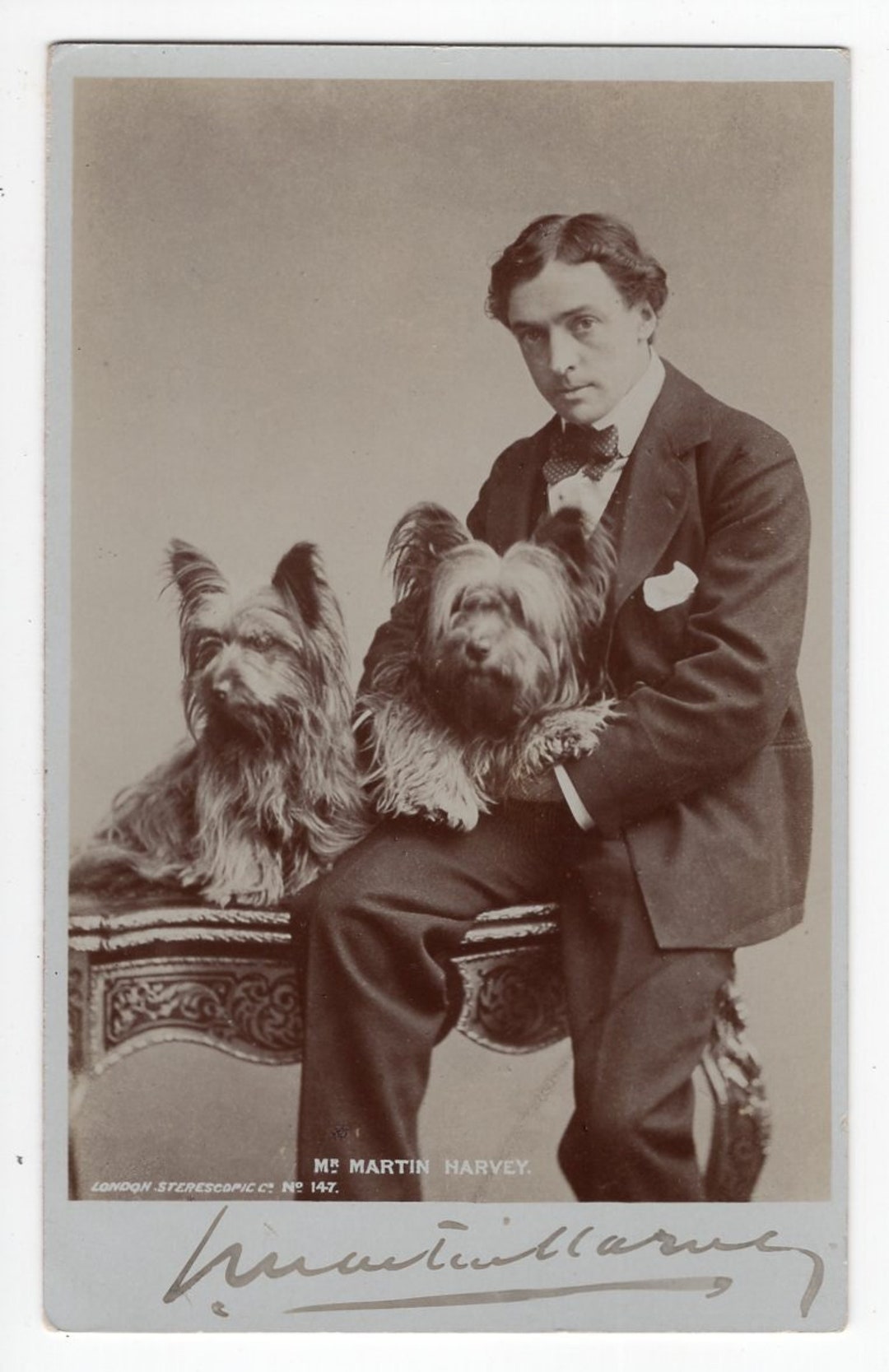 Original 1910s Actor Martin Harvey & Skye Terriers Real Photo Postcard ...