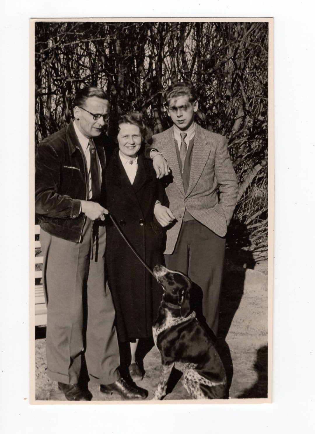1950s German Pointer & Family Antique Real Photo Postcard - Vintage ...