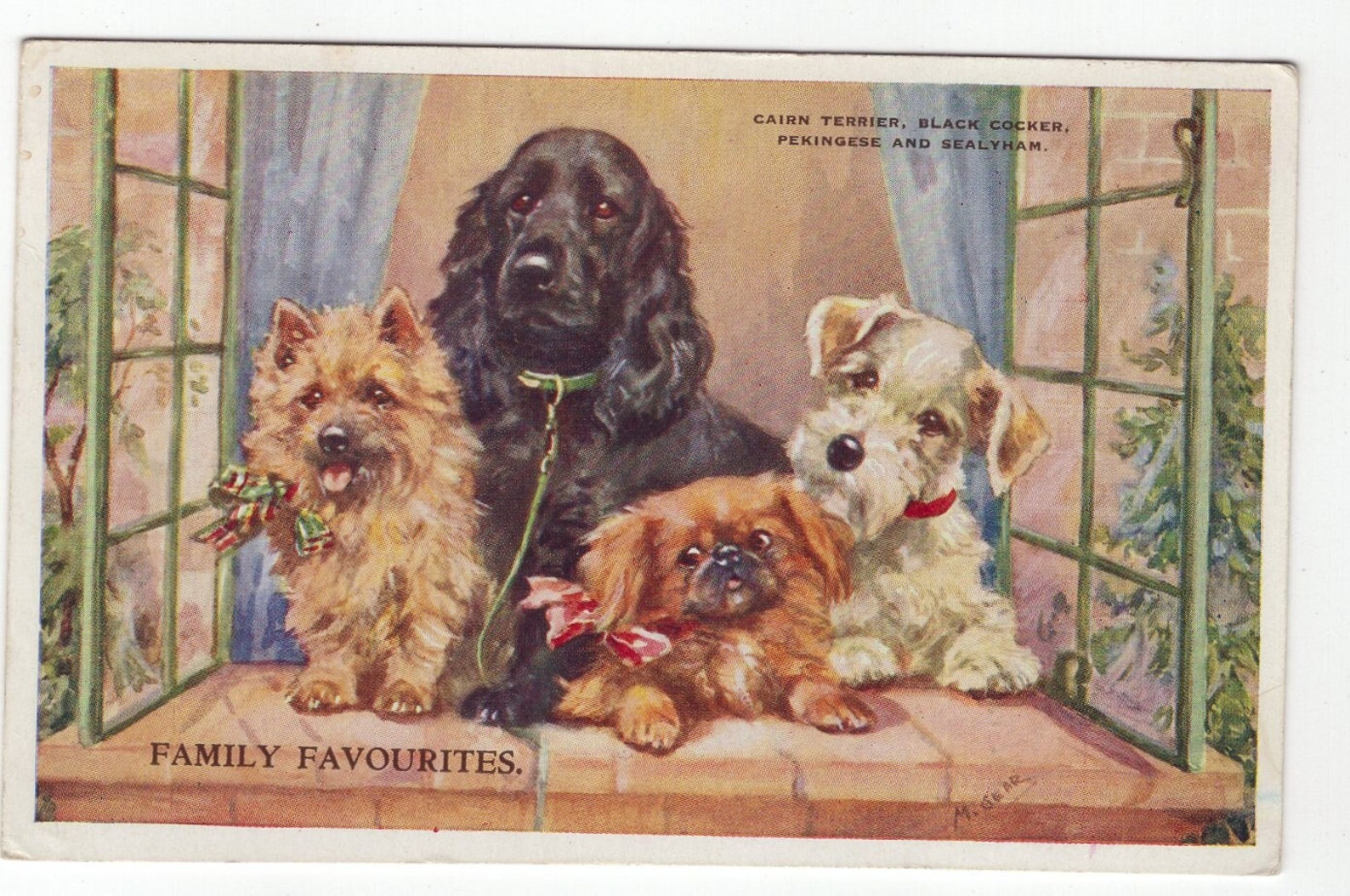 Original 1950s Cocker Spaniel Cairn Terrier Sealyham Pekingese Mabel ...