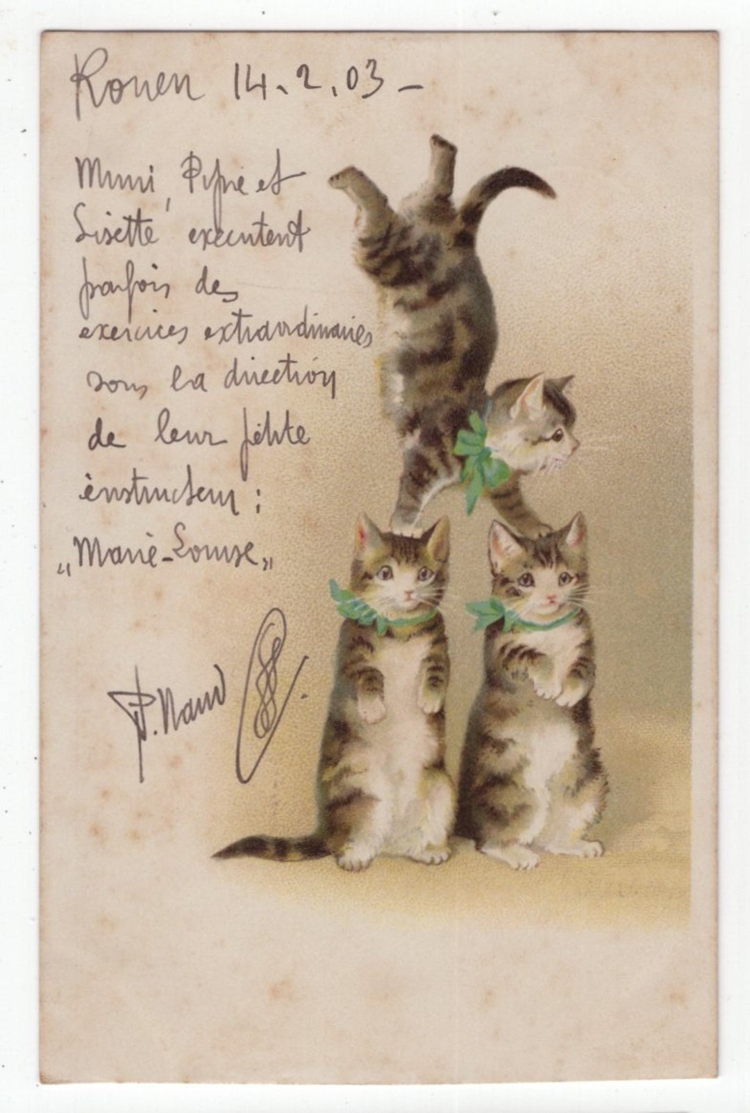 Original 1900s Circus Acrobat Cats Artist Helena Maguire Postcard ...