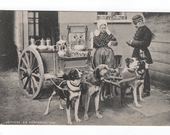 Antique Dog Cart - Etsy