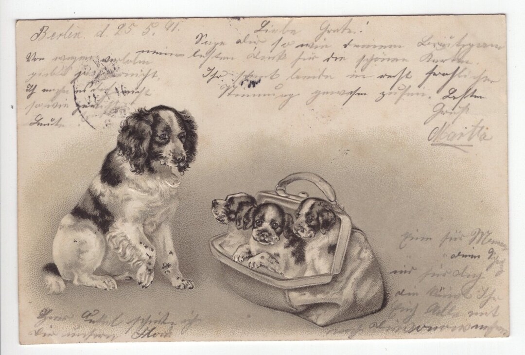 Original 1900s Spaniel & Puppies in a Bag Helena Maguire Artist ...