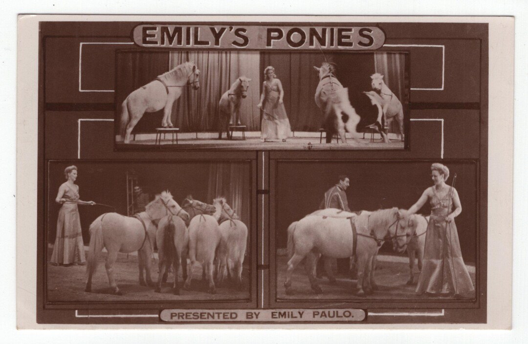 Original 1900s Performing Circus Shetland Ponies Antique Real Photo ...
