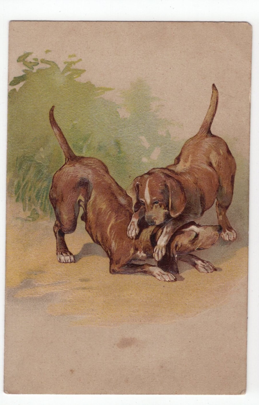 Original 1900s Beagles Playing Antique Artist Illustrated Postcard ...