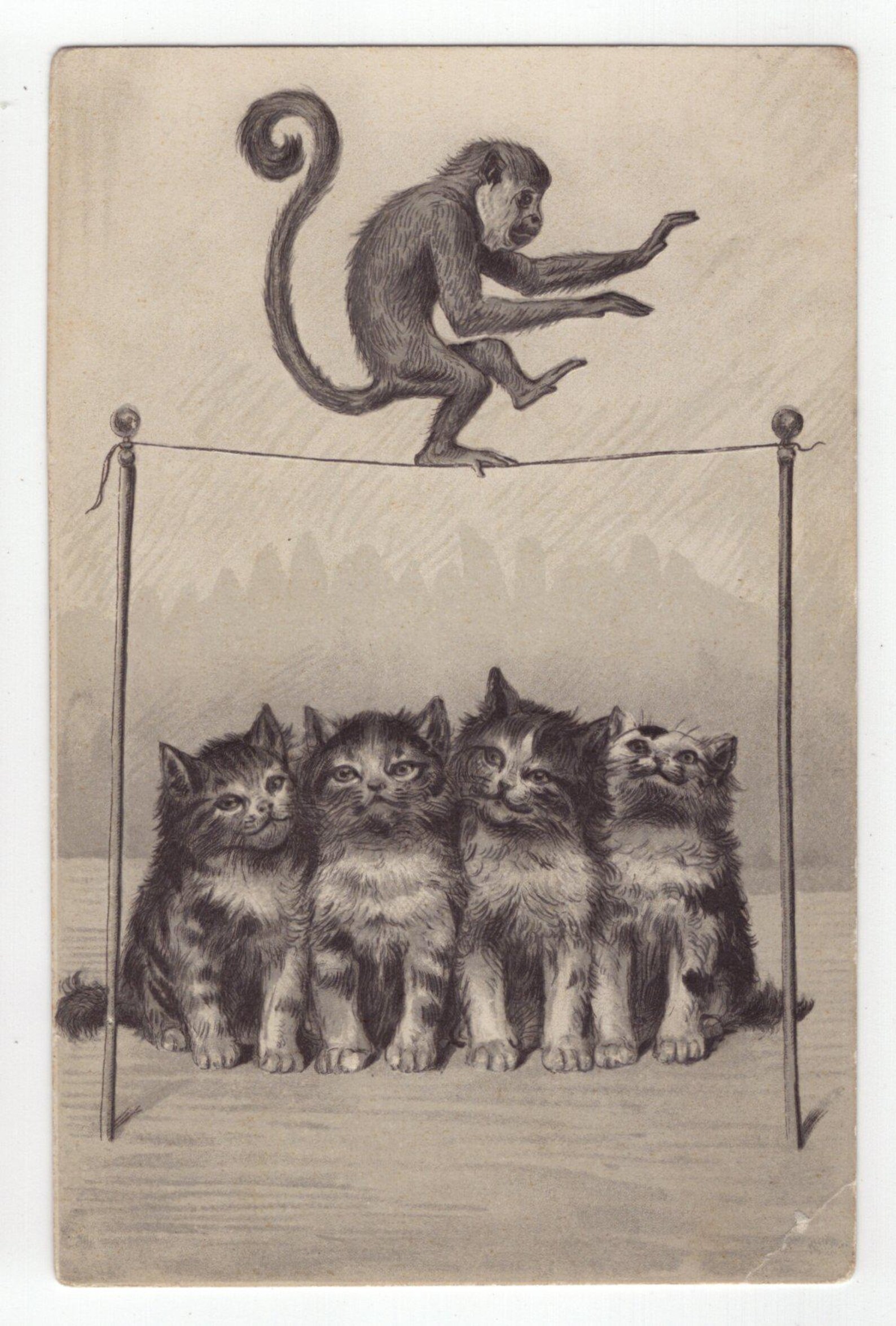 Original Monkey on Tightrope With Kittens Artist Embossed Postcard ...