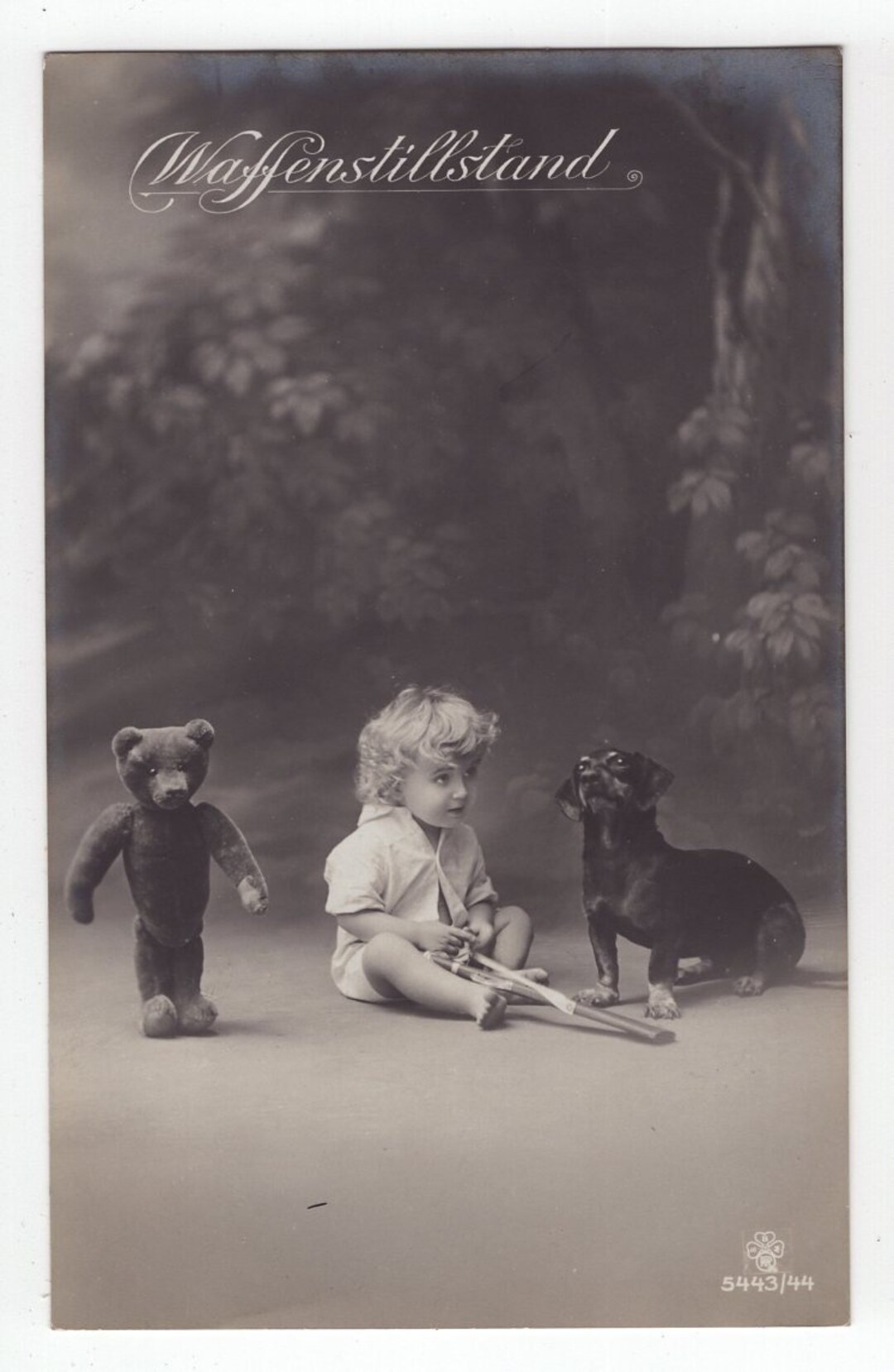 Original 1910s Dachshund, Steiff Teddy Bear and Little Boy Antique Real ...