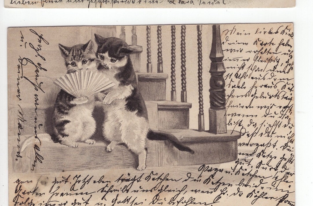Original 1900s Anthropomorphic Romantic Cats With Fan Artist Helena ...