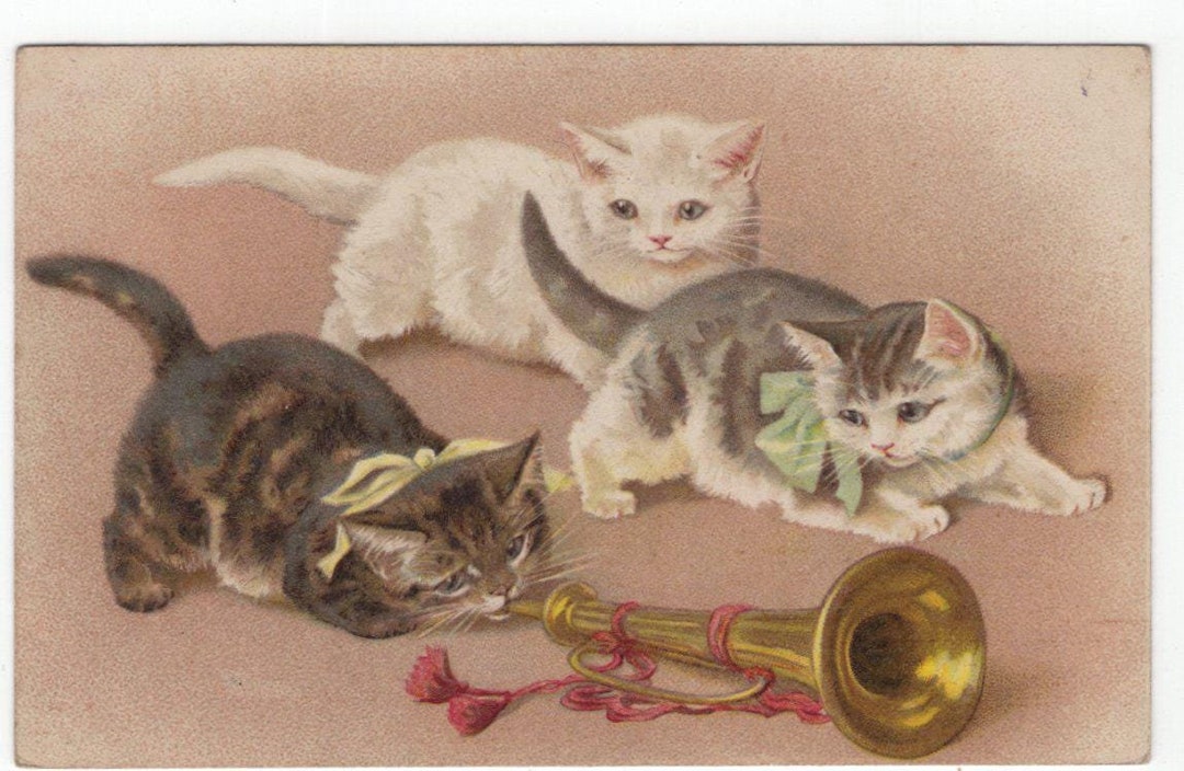 Original 1900s Tabby Cats & Trumpet Artist Helena Maguire Postcard ...