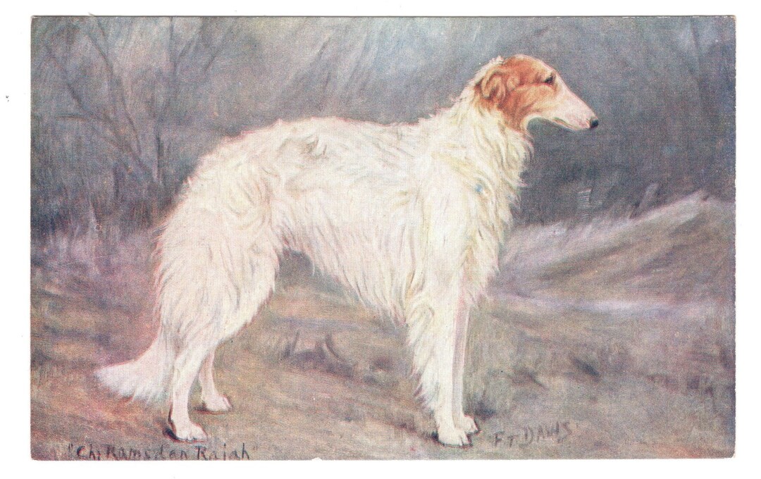 Original 1910s Borzoi Champion Ramsden Raiah Artist Signed Antique ...