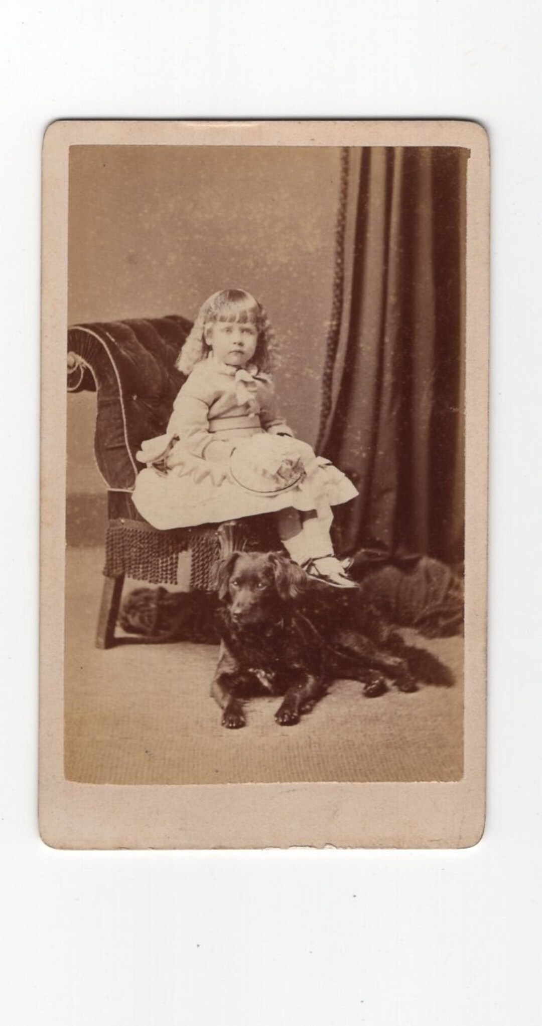 Original 1880s Little Girl & Spaniel Dog CDV Photo Carte De Visite ...
