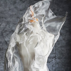 High-density Golden / Silver Plastic Wire Mesh Clothing Model Modeling ...