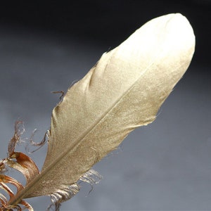 5pcs Golden Real Feather Handmade Craft and Decoration Accessories ...