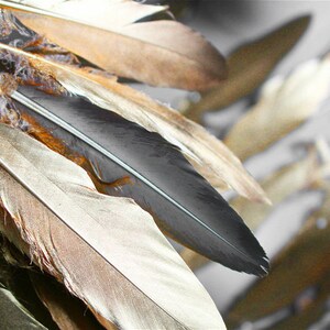 5pcs Golden Real Feather Handmade Craft and Decoration Accessories ...