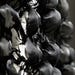 3D Bubble Mesh Fabric, Sheer Sculptural Puff Texture, Heat-set for ...