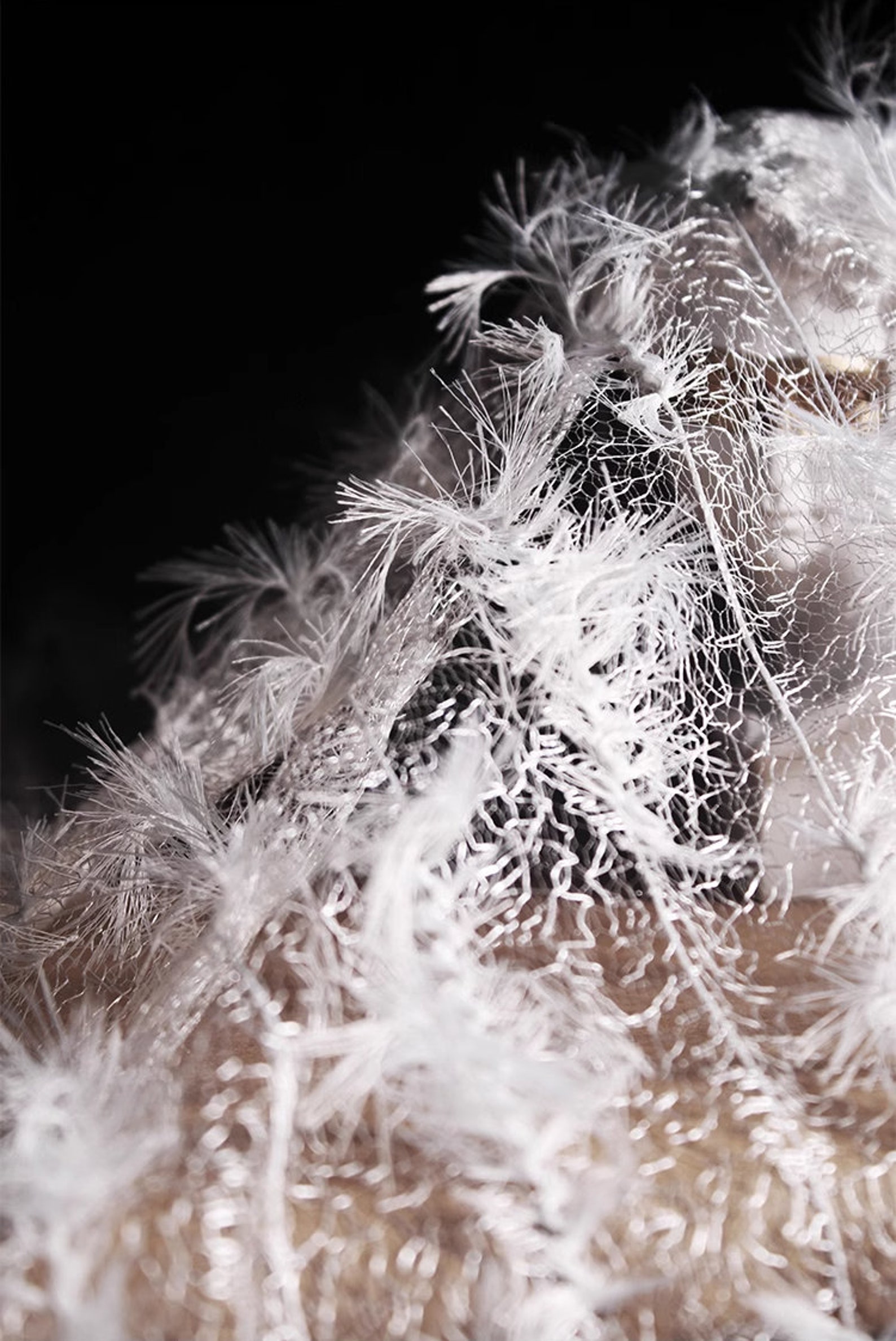 See-through Snowflake Pure White Feather Lace Mesh Fabrics - Etsy