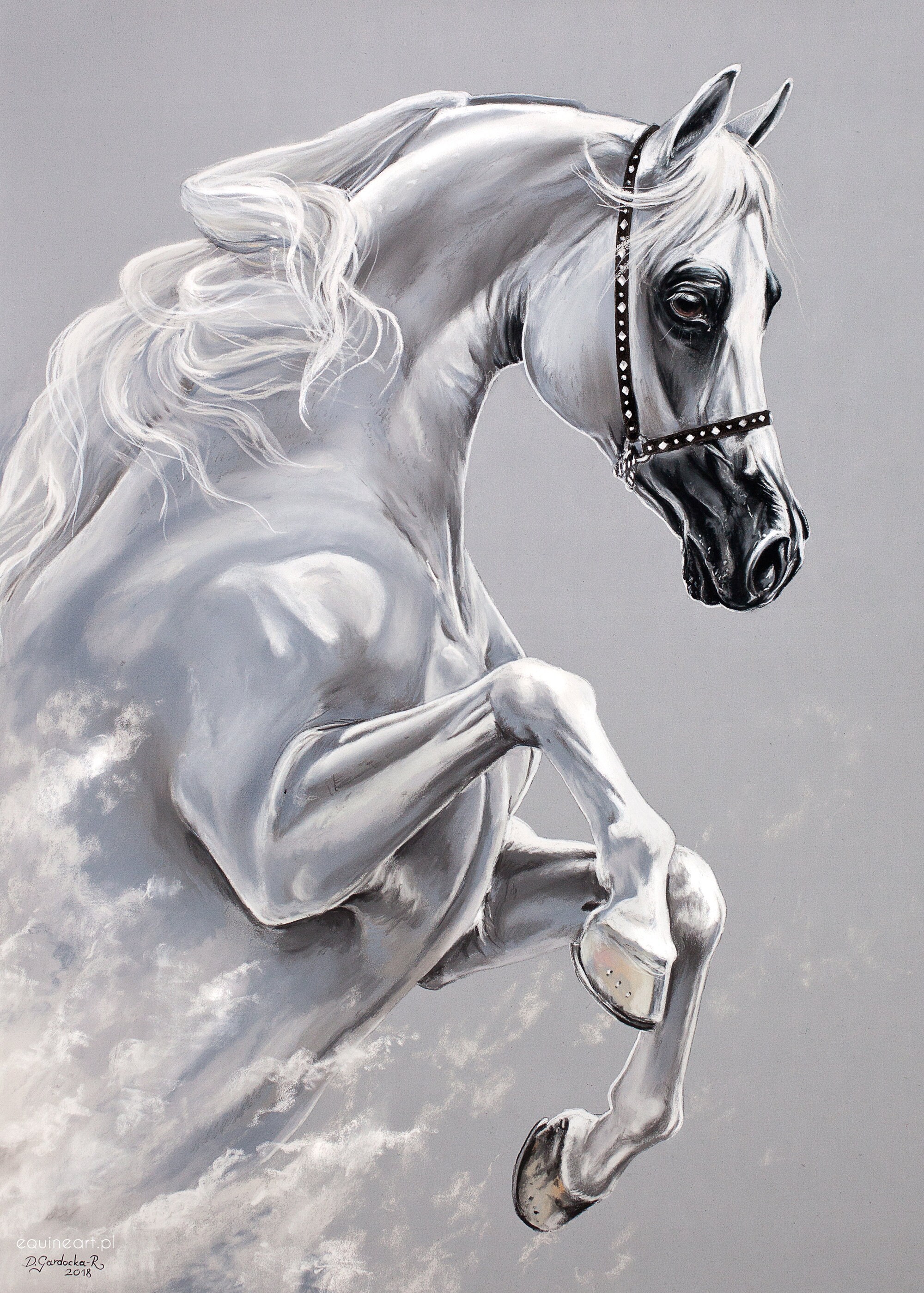 19.6x27.5 Arabian Horse. Limited Edition XL Print. - Etsy