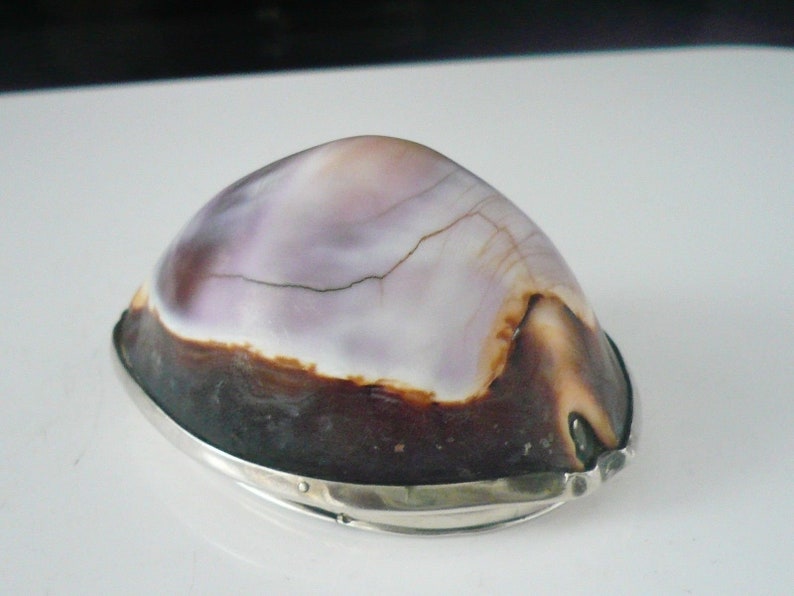 Silver Cowrie Shell Snuff Box, Trinket, Antique, Tobacco, Scent ...