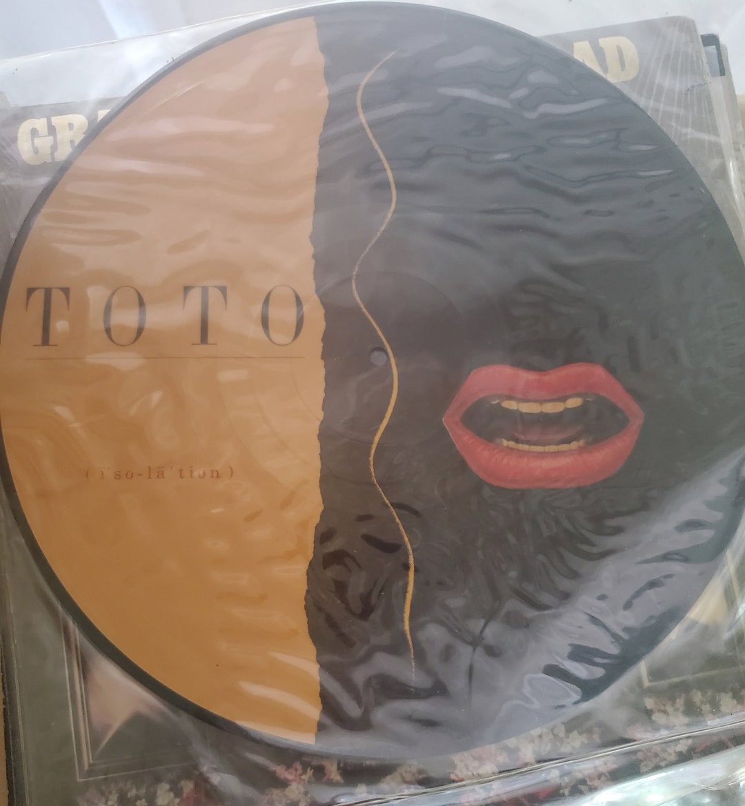 Toto, Isolation, Picture Disc, Vintage Vinyl Record Album, Classic Rock ...