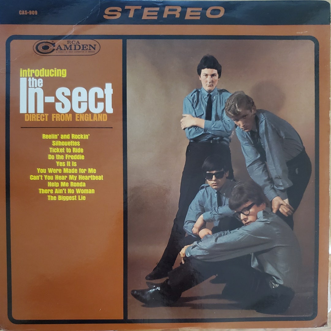 The In-sect, Introducing the In-sect Direct From England, Vintage Vinyl ...