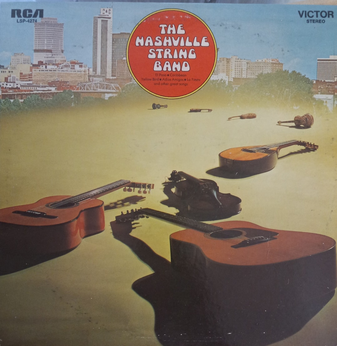 The Nashville String Band, Debut Album, Vintage Record Album, Vinyl LP ...