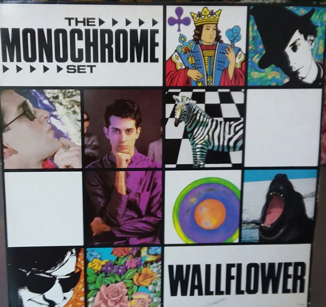 The Monochrome Set, Wallflower, 12" Single Play Record, Vintage Record ...