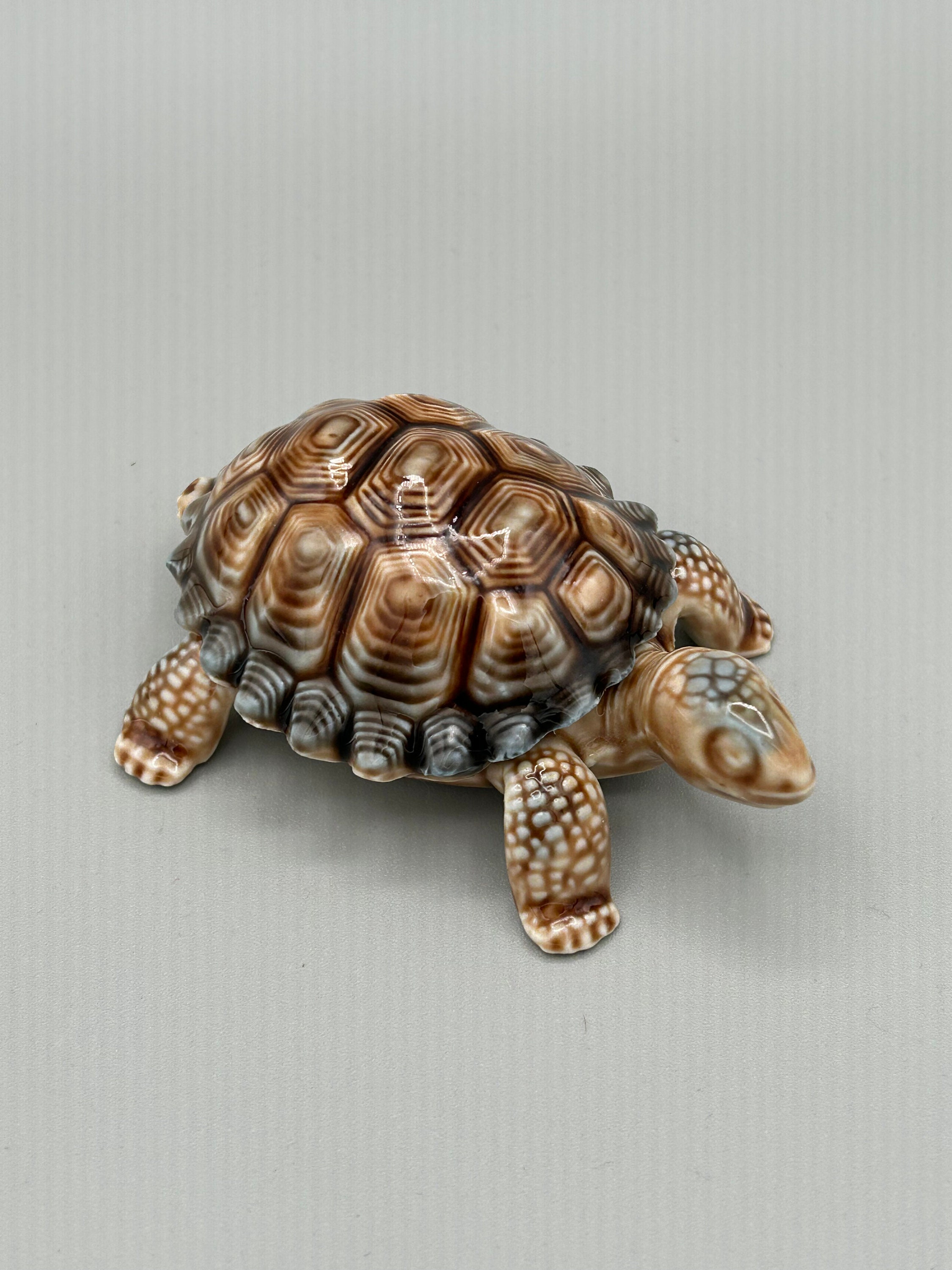Wade Porcelain Turtle Trinket Box. Made in England. - Etsy