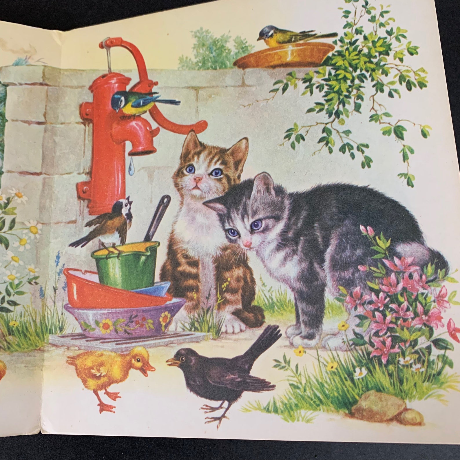 Wordless Animal Picture Books. Vintage Mulder. Printed in | Etsy