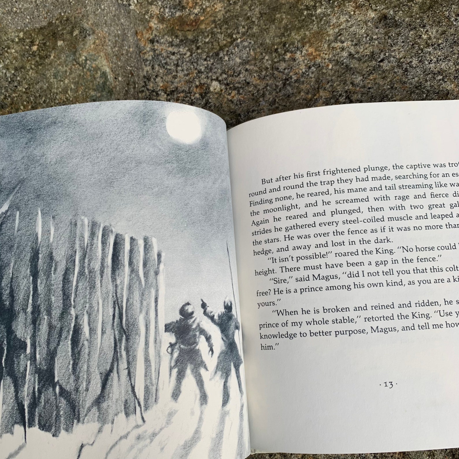 A Net to Catch the Wind. Margaret Greaves. Drawings by Stephen - Etsy