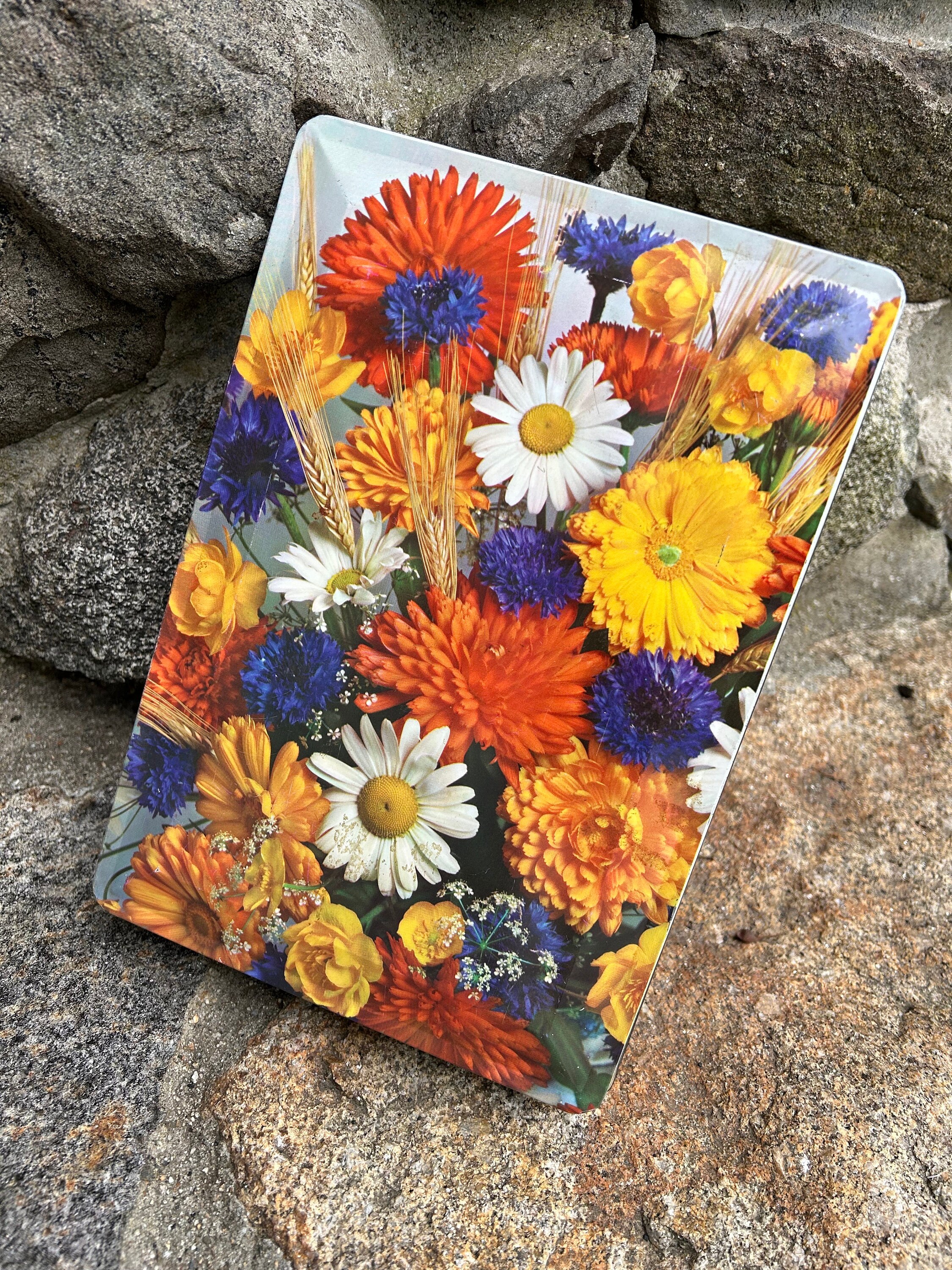 Vintage Elkes Biscuit Tin. Rectangular Blue Strawflower Canister. 10 1/ ...