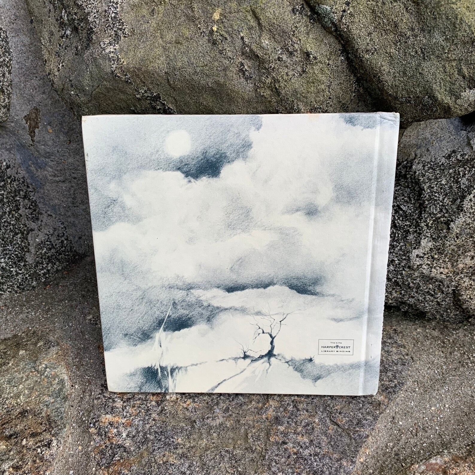 A Net to Catch the Wind. Margaret Greaves. Drawings by Stephen - Etsy