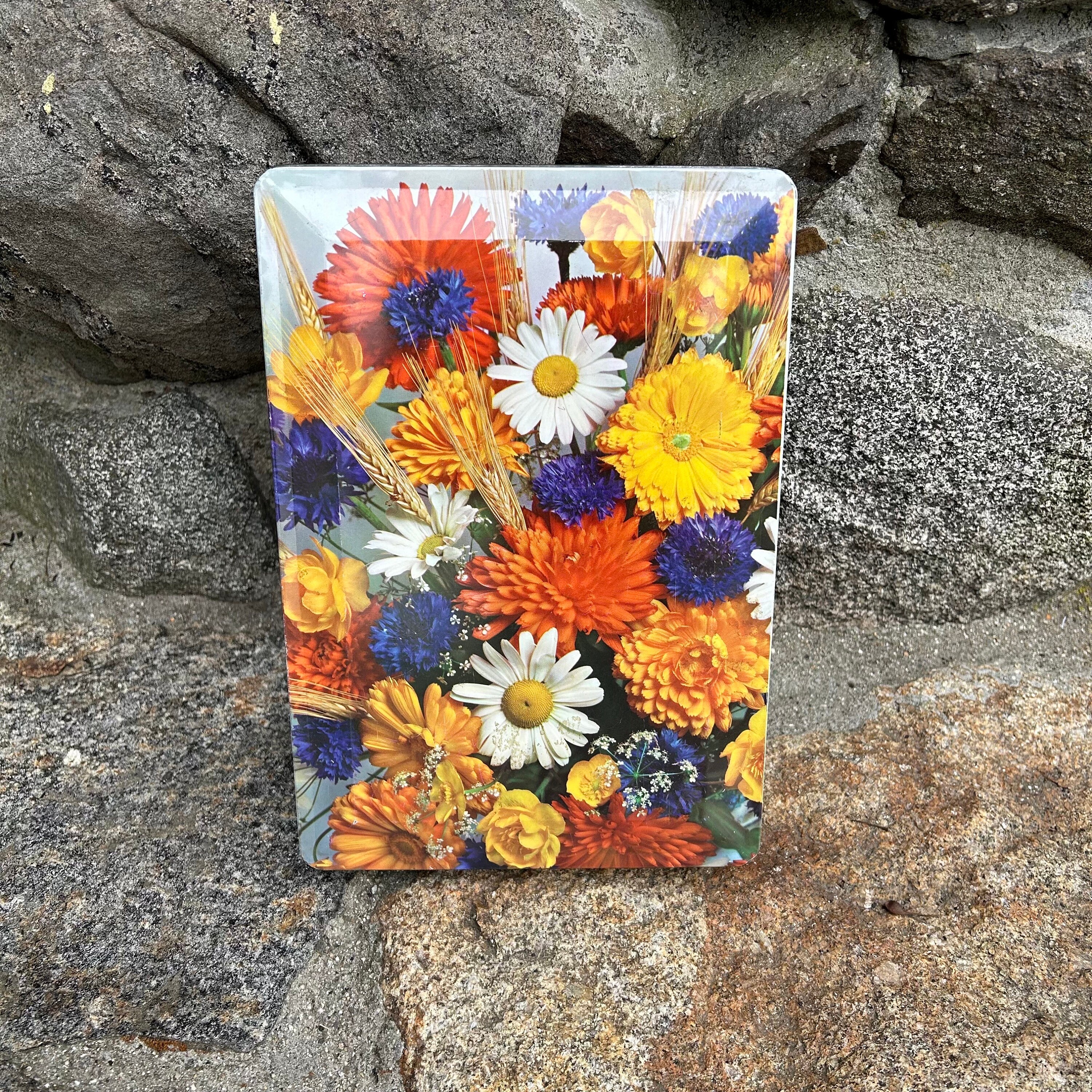 Vintage Elkes Biscuit Tin. Rectangular Blue Strawflower Canister. 10 1/ ...
