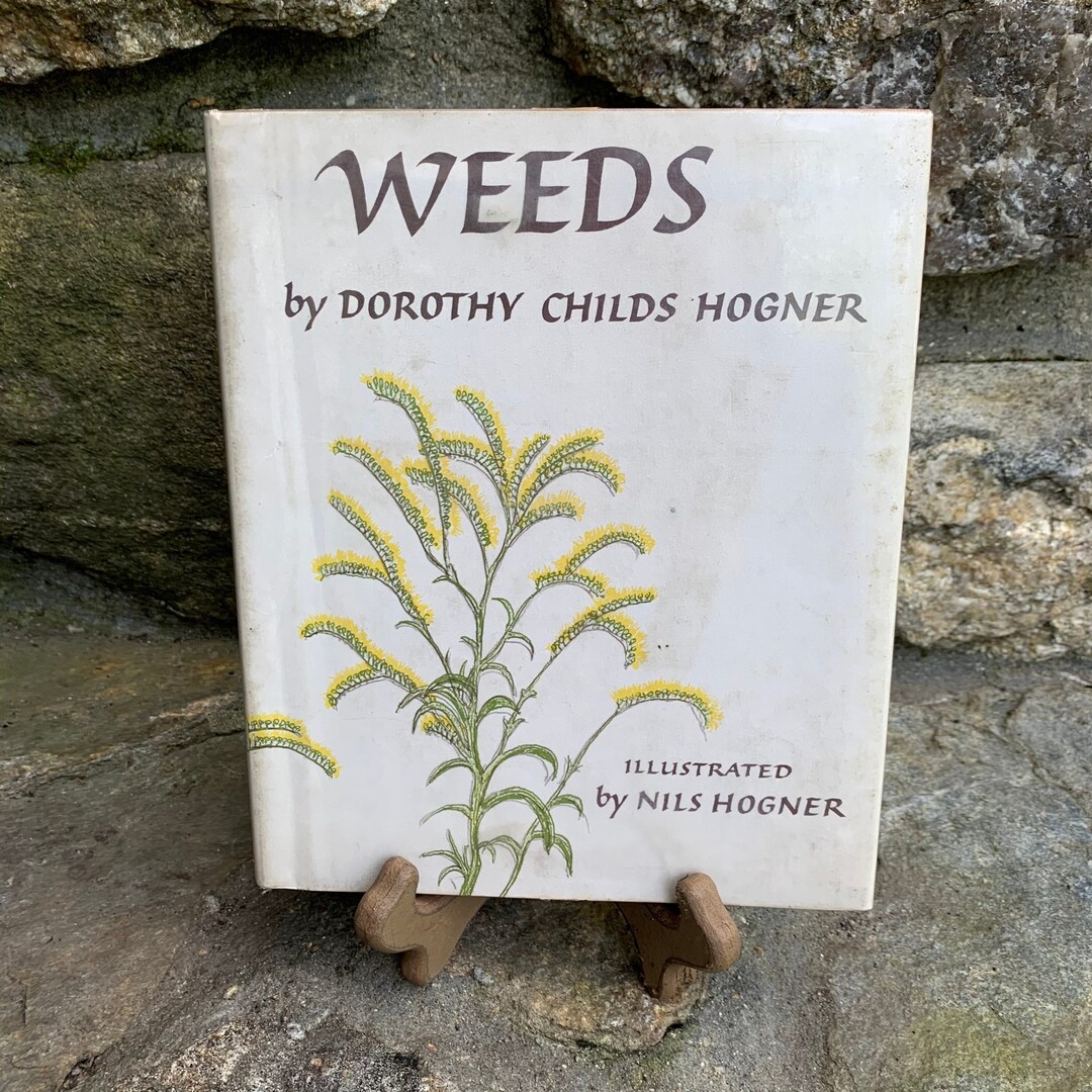 Weeds. Dorothy Childs Hogner. Vintage Nature Book. Illustrations by ...