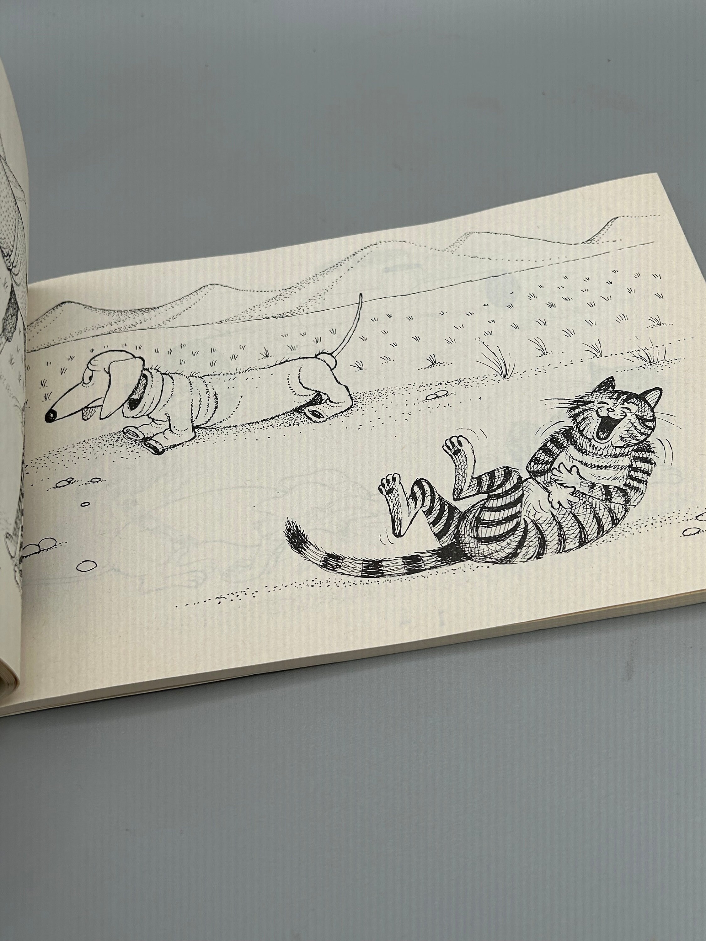 Schnoodle and Sam. by Eric Gurney. Cat Comics. 1981. - Etsy