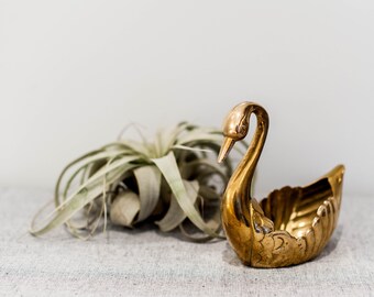 Swan plant holder | Etsy