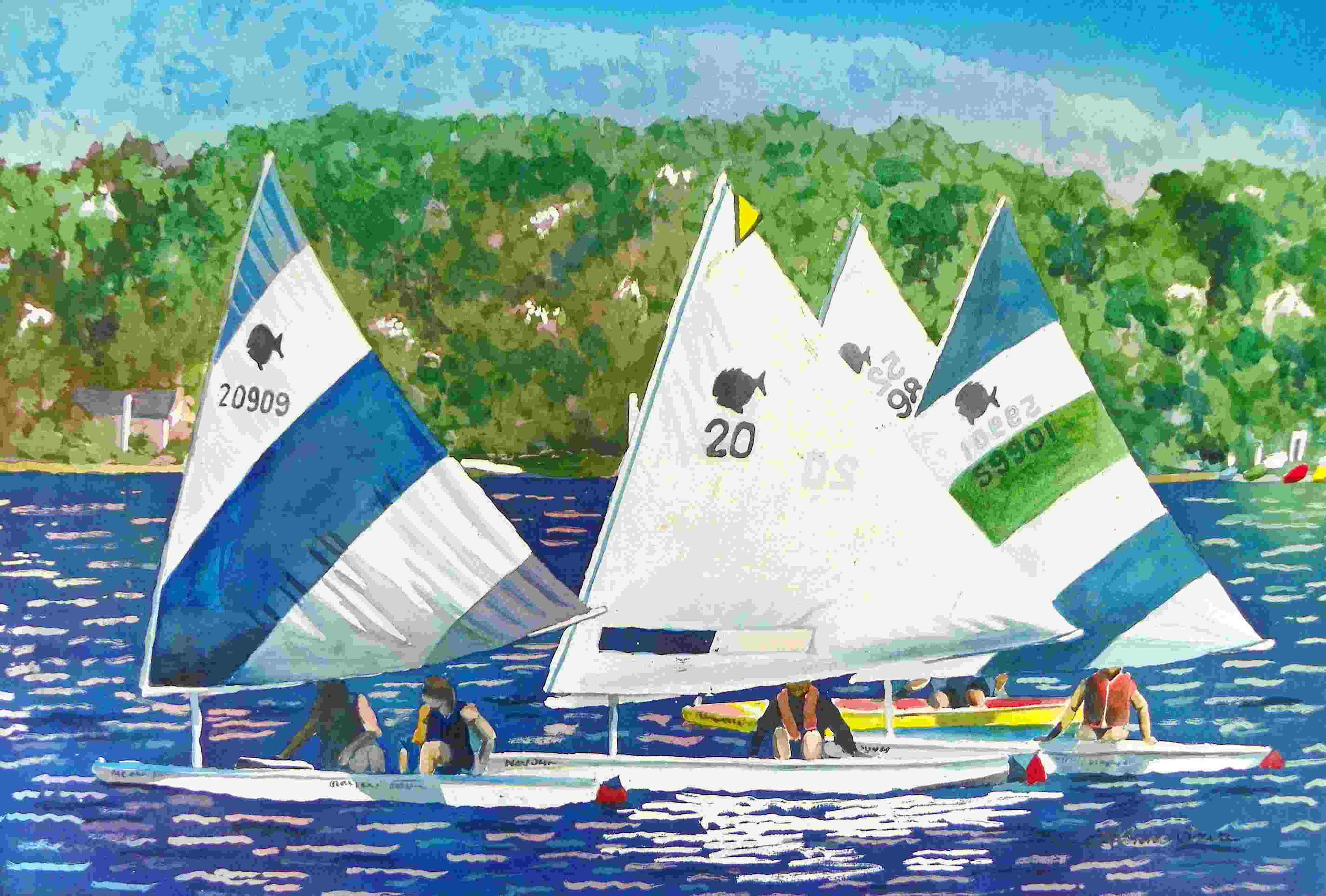 Sunfish Sailboat Racing