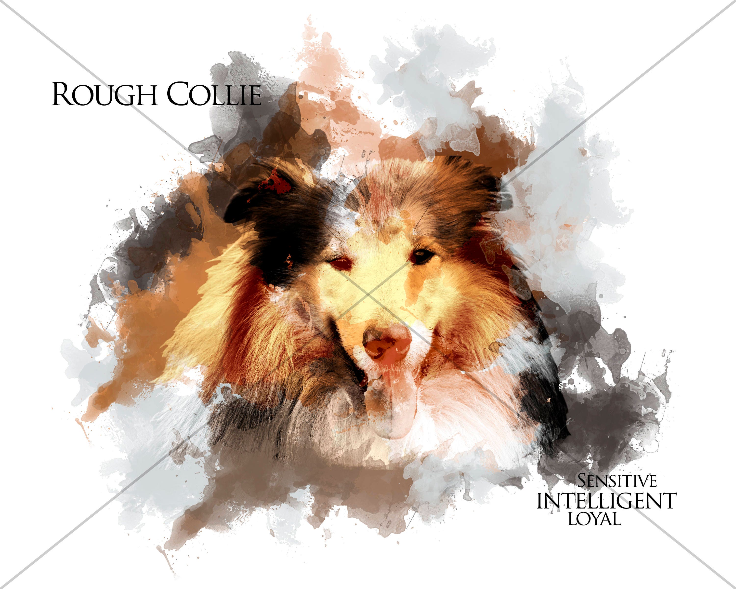 Rough Collie Print Digital Download ONLY dog Gift - Etsy