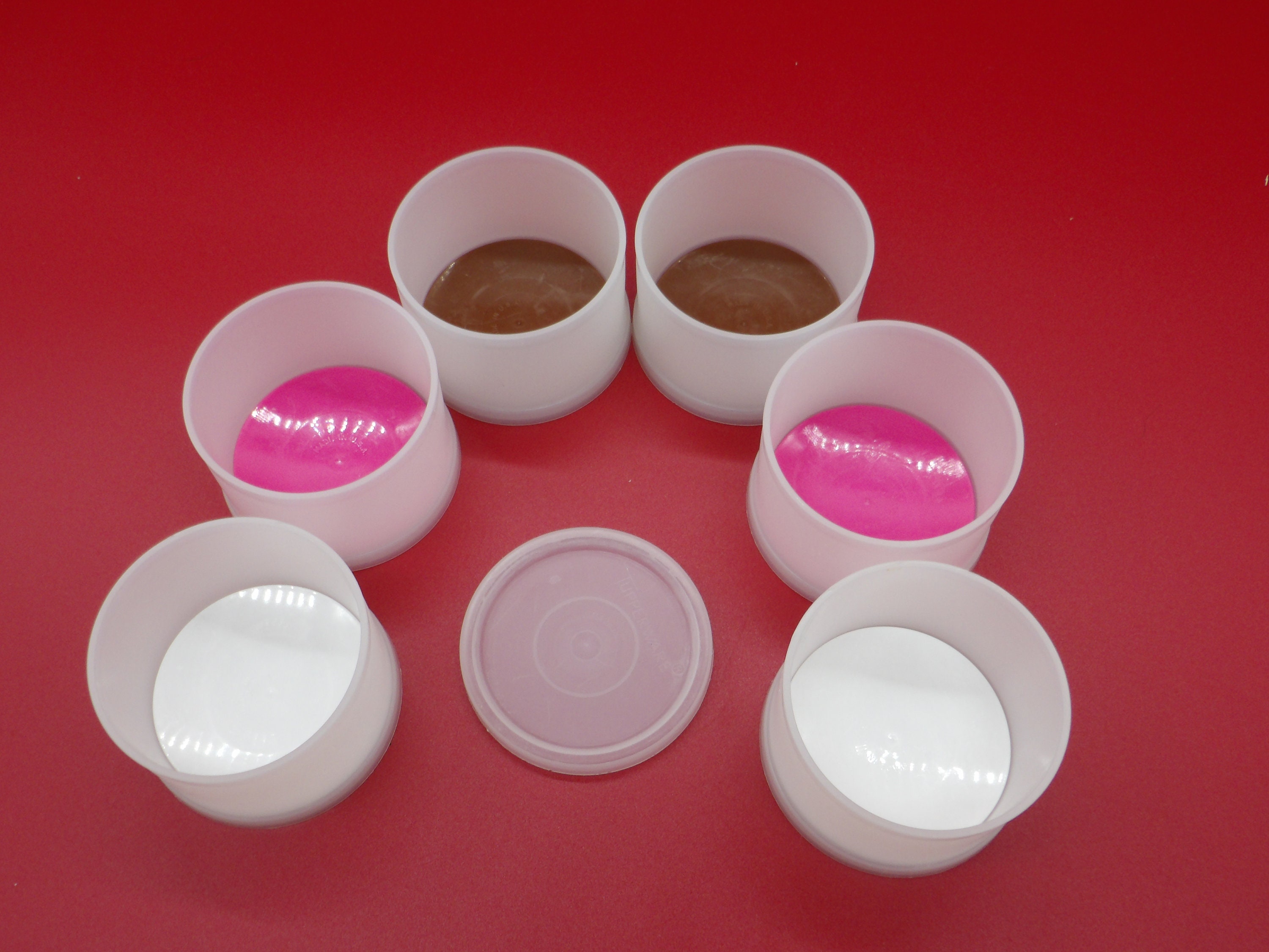 Tupperware Ice Cream Sandwich Maker Summer Fun - Etsy