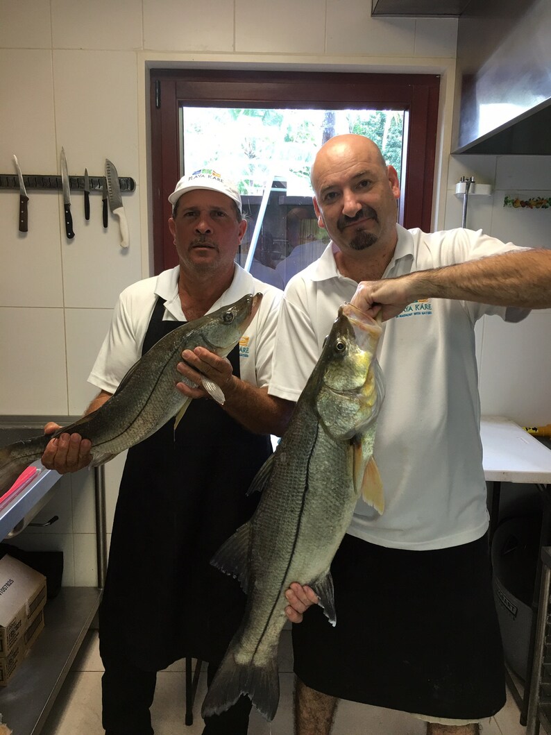 Red Fish/red Drum/gifts for Fishermen/gifts/beach House - Etsy