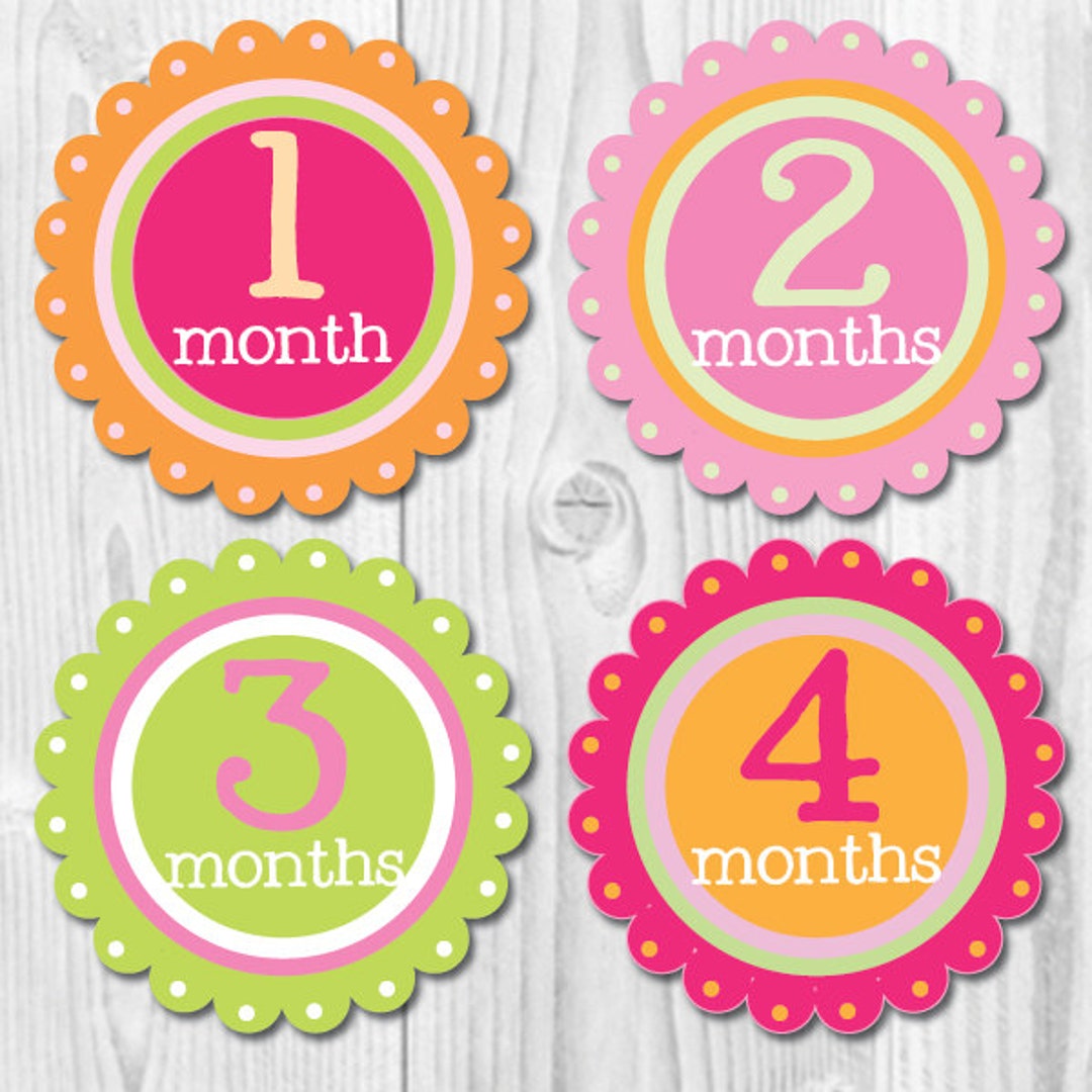 Monthly Baby Stickers Girl Monthly Stickers Orange and - Etsy