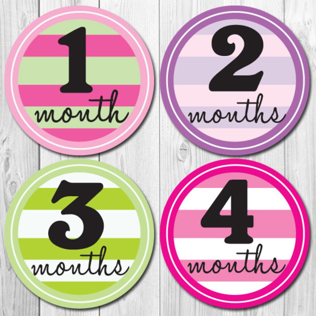 Monthly Baby Bodysuit Stickers, Baby Girl Monthly Stickers, Baby Month ...