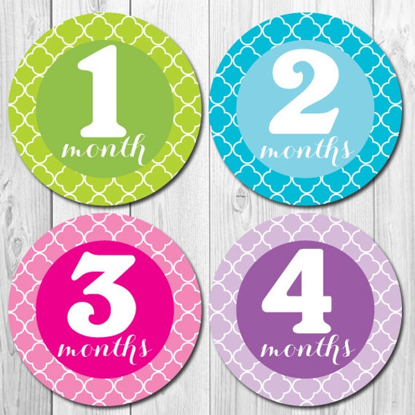 Baby Monthly Sticker - Etsy