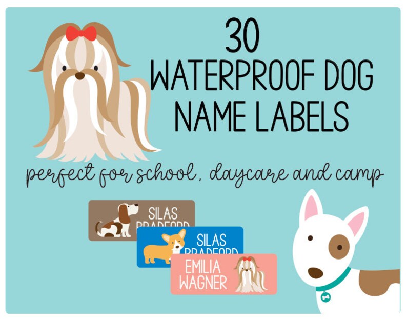 Waterproof Name Labels for School, Camp and Daycare | 30 Dishwasher ...