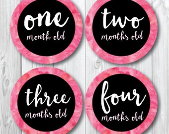 Pink Zoo Monthly Baby Sticker Girl Baby Month Sticker - Etsy