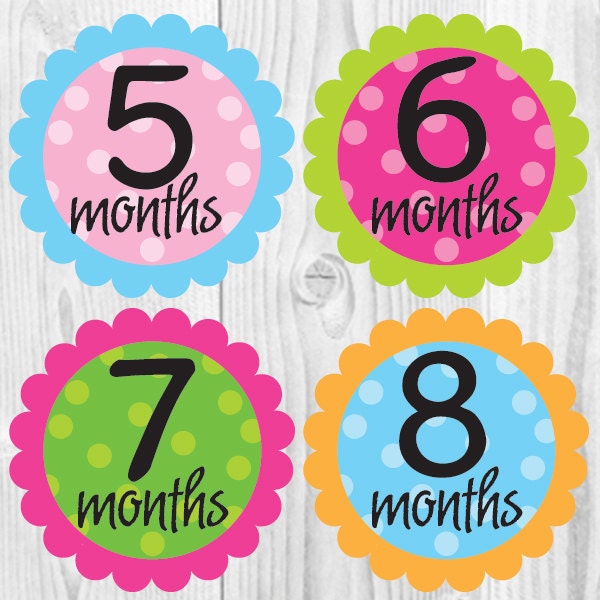 Monthly Baby Milestone Stickers Baby Girl Baby Shower Gift | Etsy