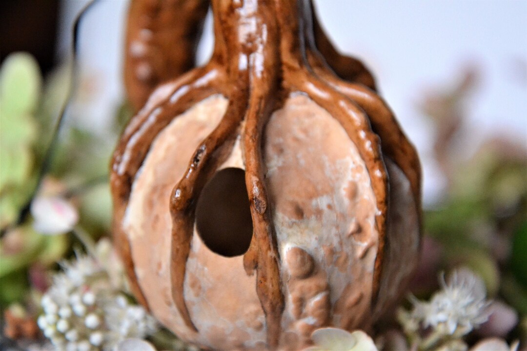 Tree Roots Gourd - Altered Gourd - Natural Decor - Garden Decor - Fairy ...
